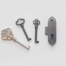 Specialized Hardware - Timely Hardware